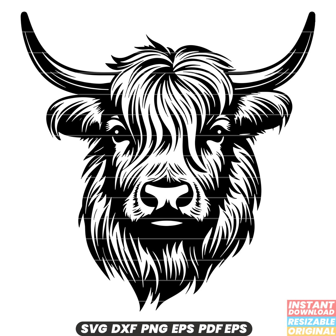 Highland Cow Cattle Livestock Animal Farm Farming Scotland Scottish ...