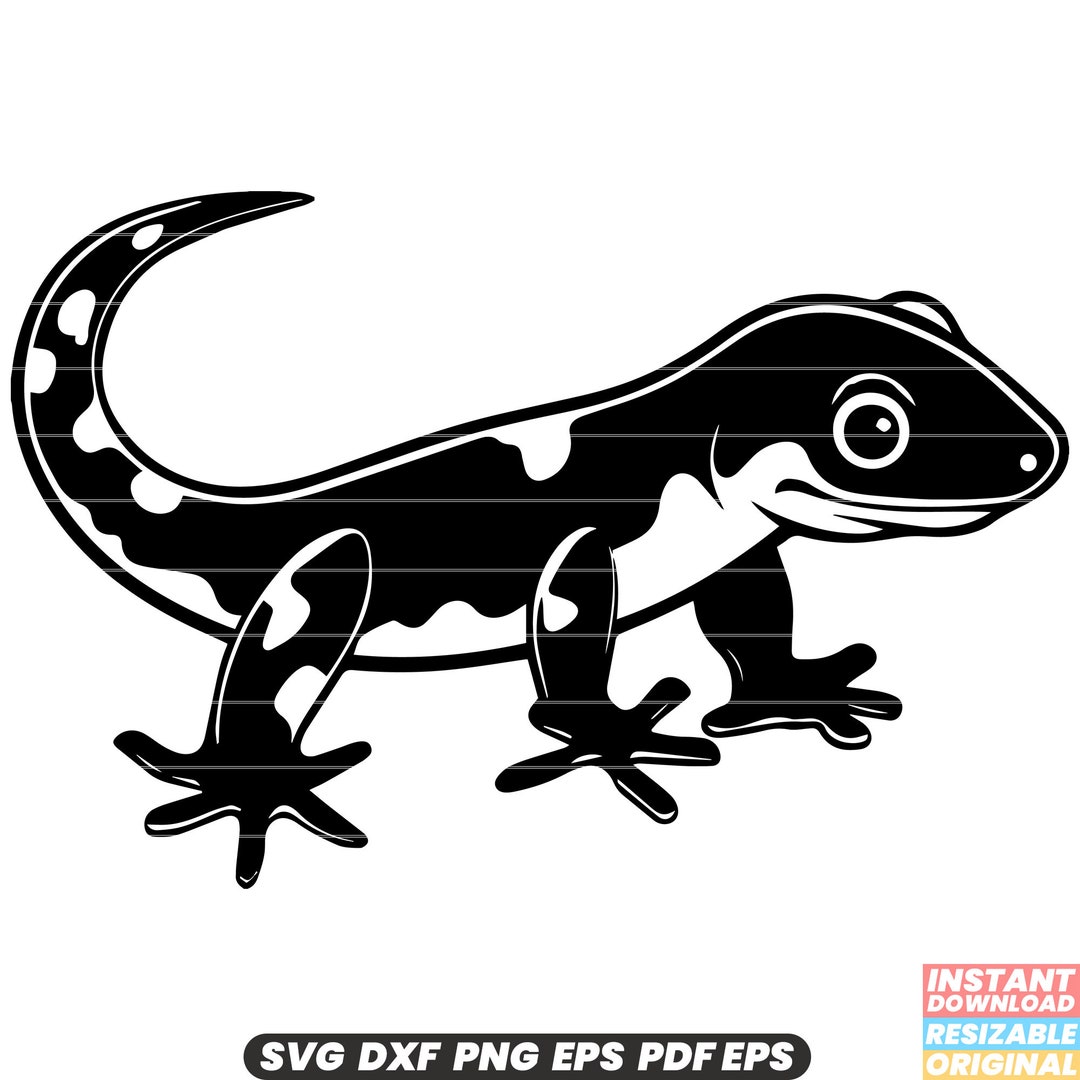 Aquatic Salamander Amphibian Wildlife Nature Water Creature SVG DXF PNG ...