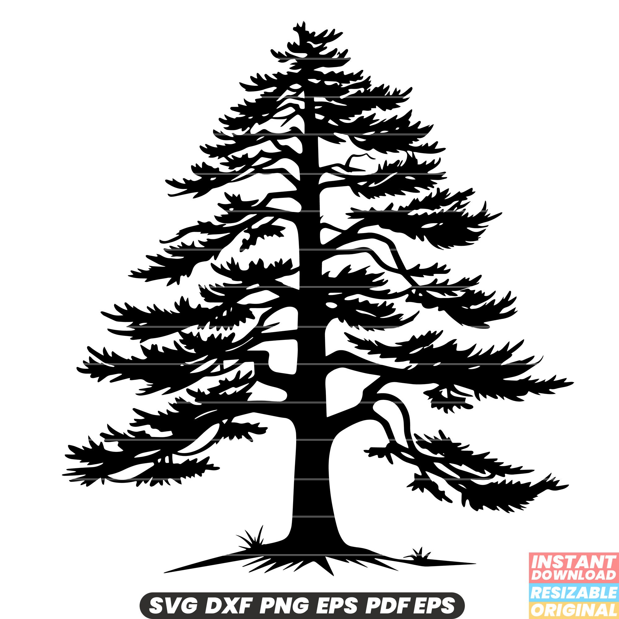 Pine Tree SVG, Pine Tree DXF, Pine Tree PNG Digital Designs Instant ...