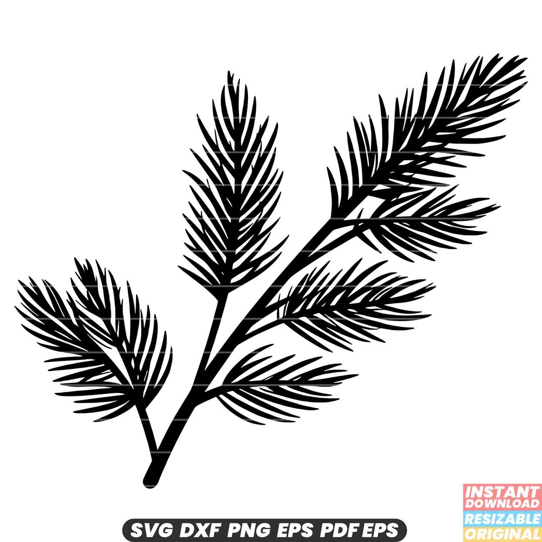 Pine Leaf SVG Pine Tree Nature Evergreen Forest Botanical Tree DXF PNG ...