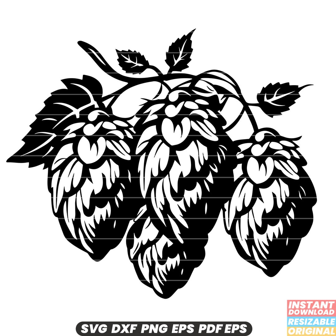Hops SVG Beer Brewing Illustration Hop Plant Clipart Craft Brewery ...