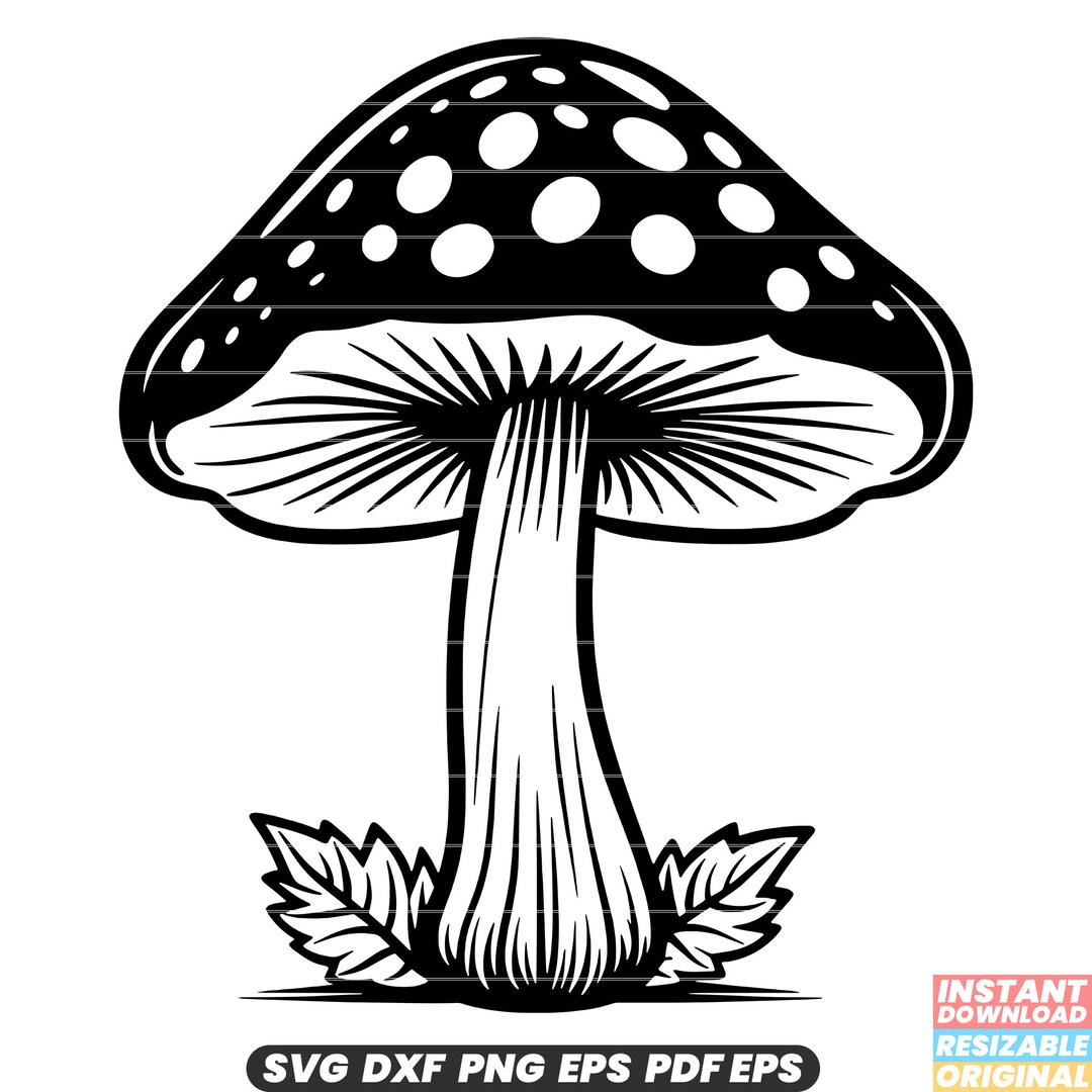 Mushroom Fungus Toadstool Nature Forest Woodland Botany Plant Edible ...