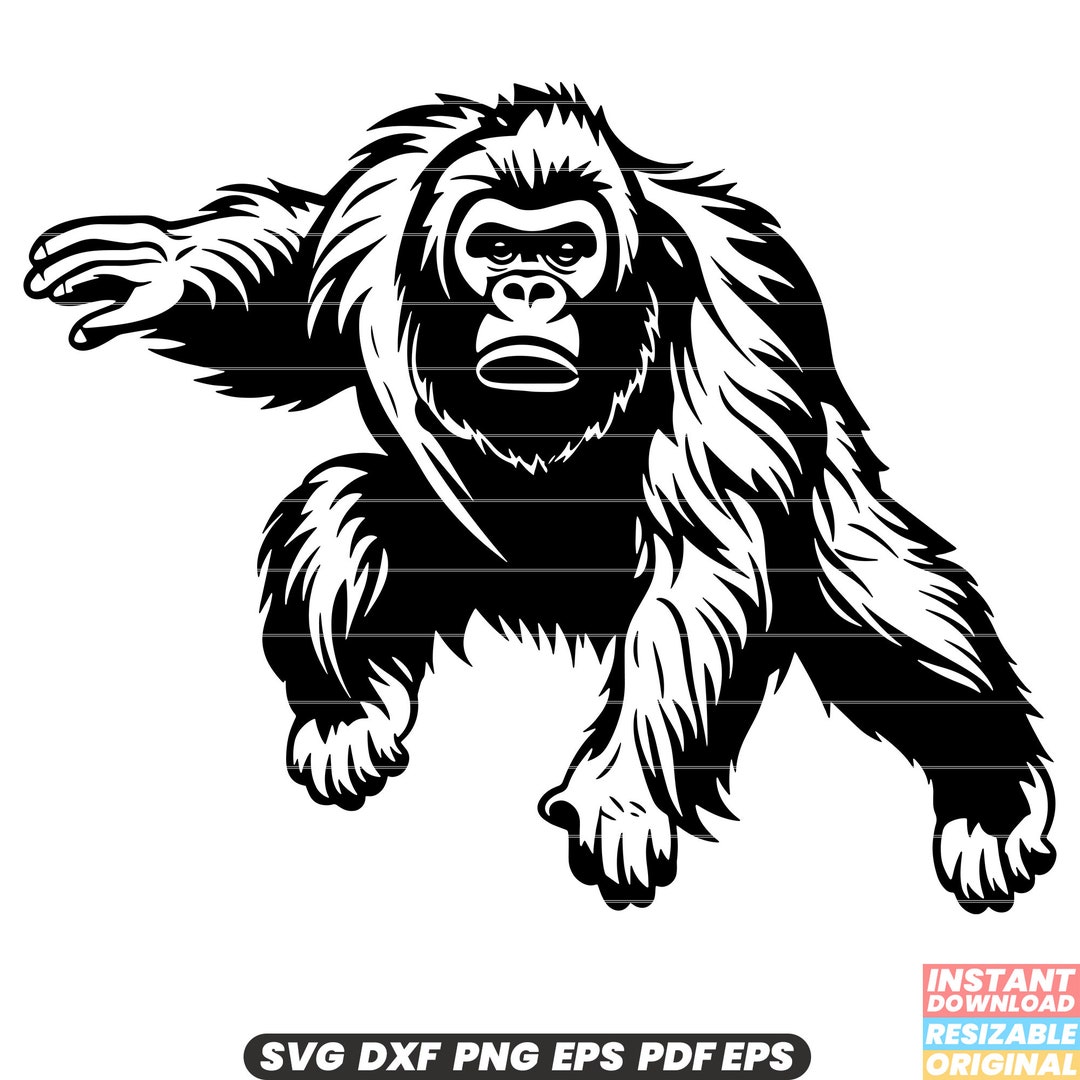 Orangutan Primate Ape Endangered Species Wildlife Conservation ...