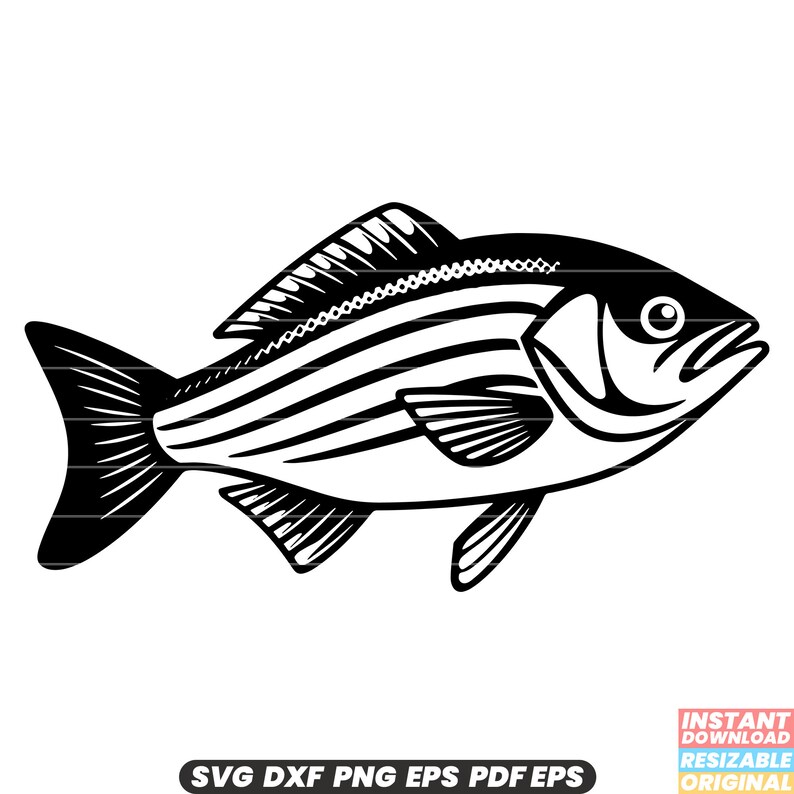 Striped Bass SVG Striped Bass DXF Striped Bass PNG Angler's Designs for ...