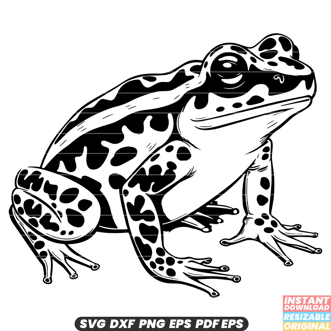 Toad Amphibian Frog-like Warty Skin Croak Amphibious Wildlife Nature ...