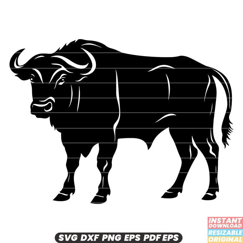 Buffalo Svg - Etsy