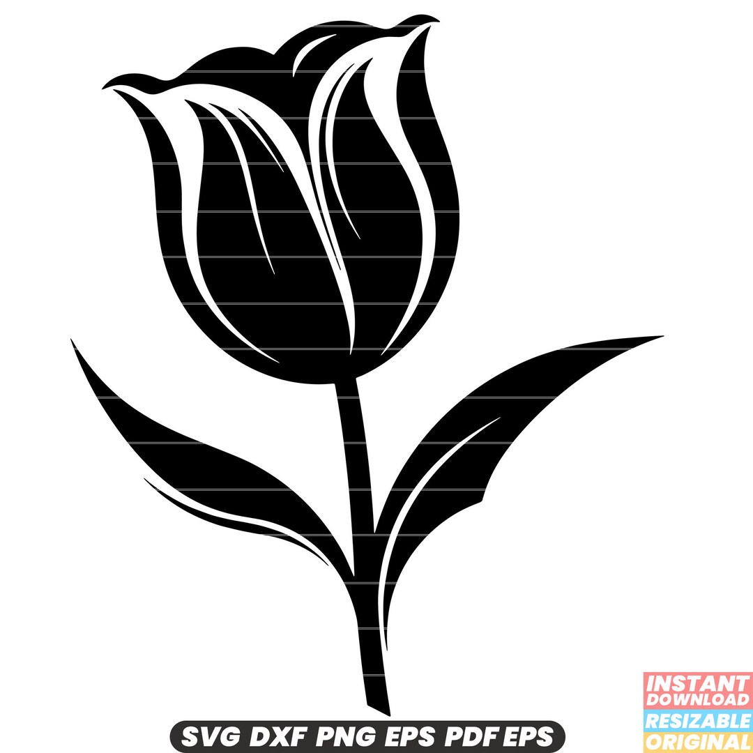 Tulip SVG Floral Illustration Tulip Clipart Flower Graphic Spring ...