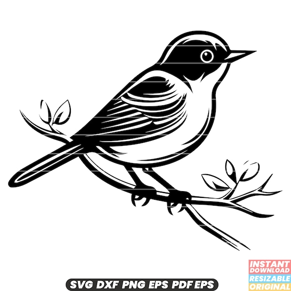 Feather Bird Svg - Etsy