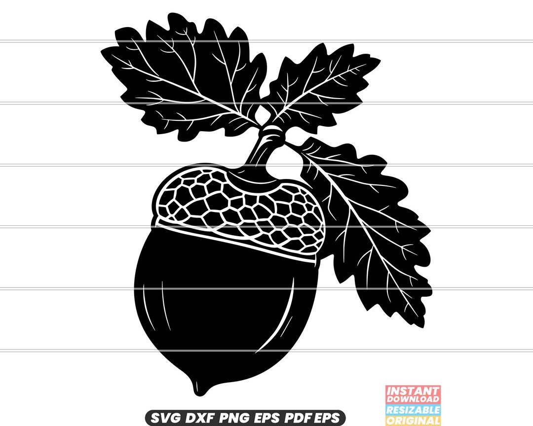 Acorn Svg, Acorn Dxf, Acorn Png, Acorn Cut File, Acorn Clipart, Acorn ...