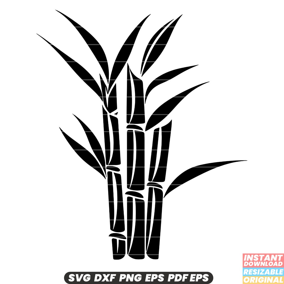 Sugar Cane Farming Agriculture Crop Harvest Plantation Sweet Sucrose ...
