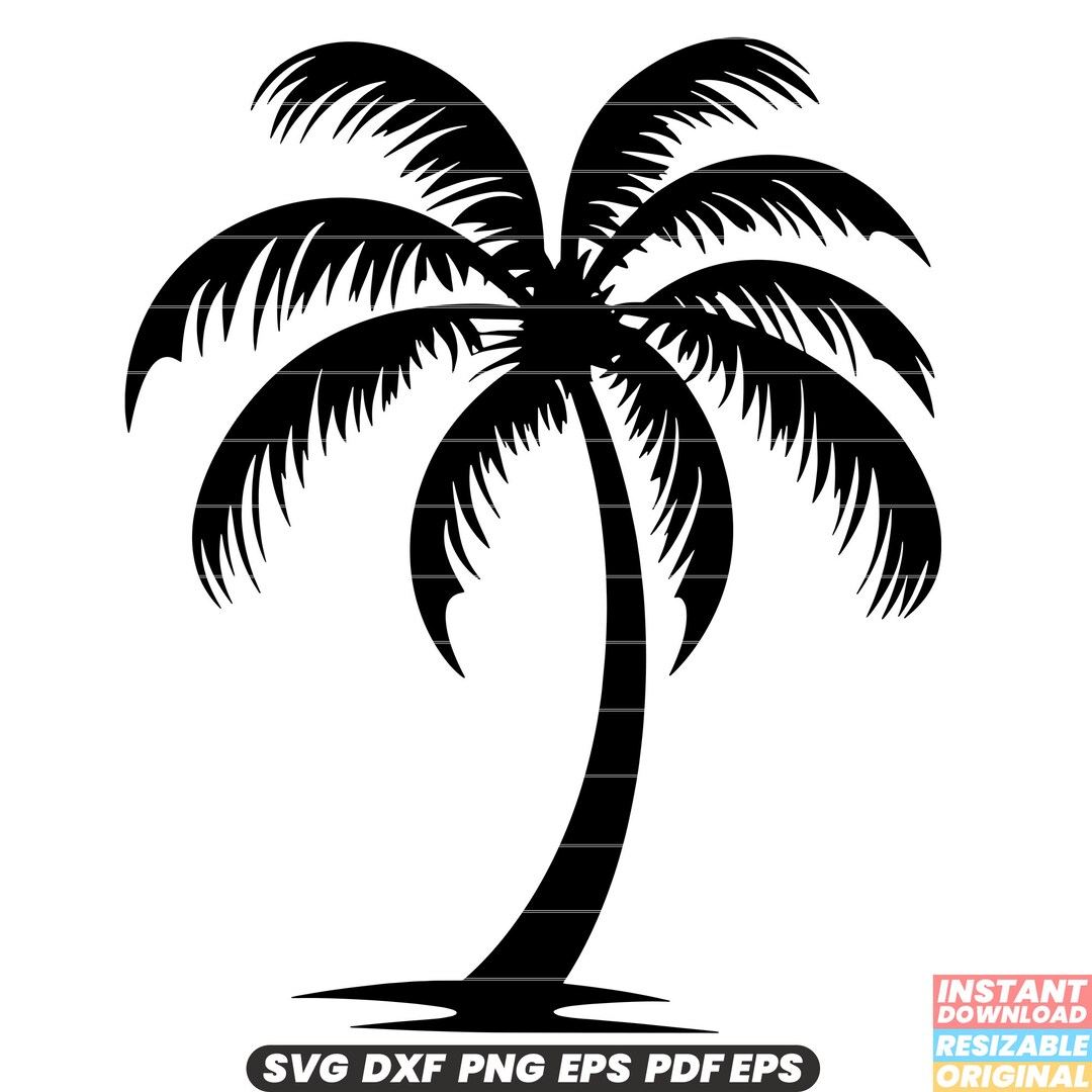 Palm Tree Tropical Beach Ocean Vacation Island Summer Sunlight ...