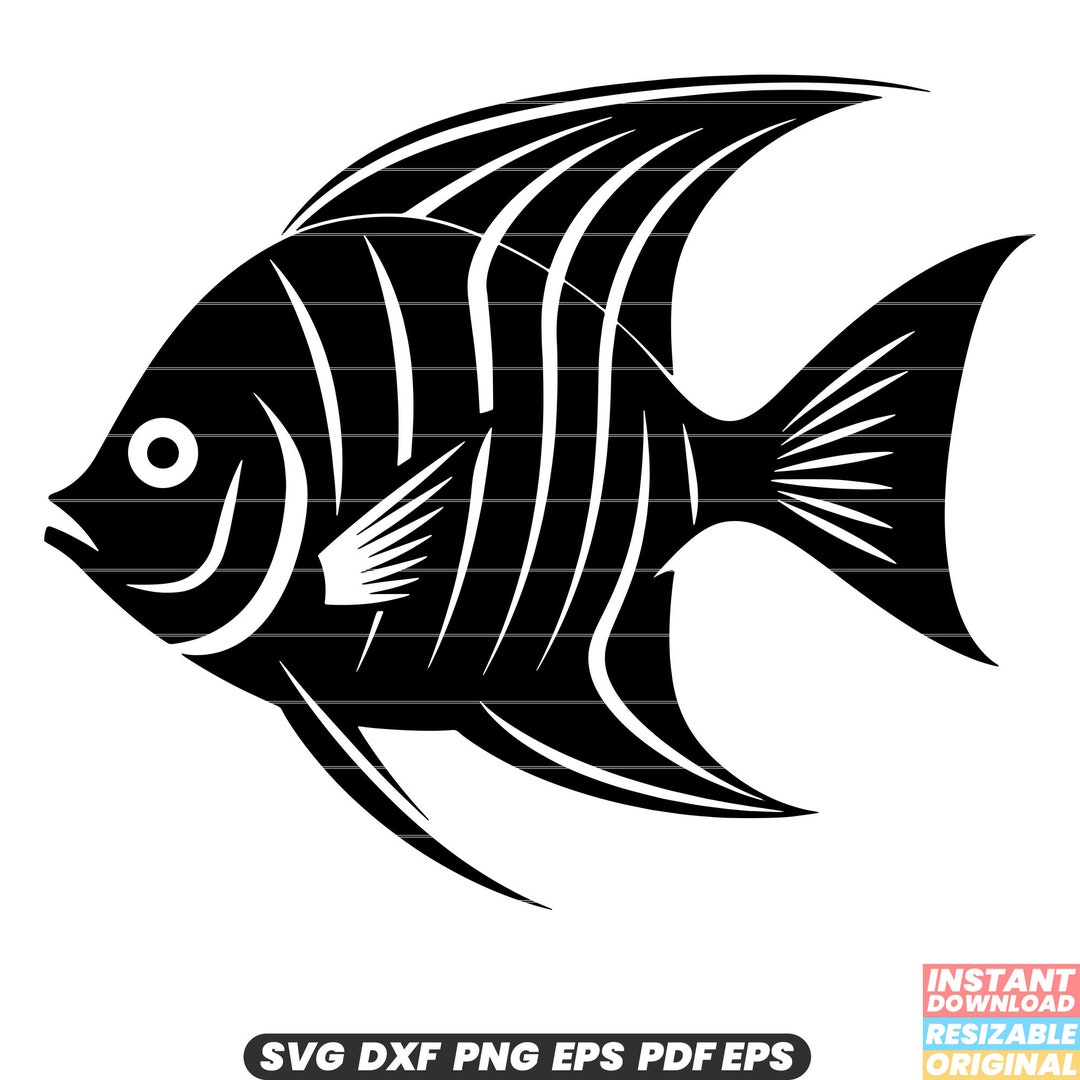 Angelfish Marine Fish Aquarium Ocean Sea Saltwater Tropical Exotic ...