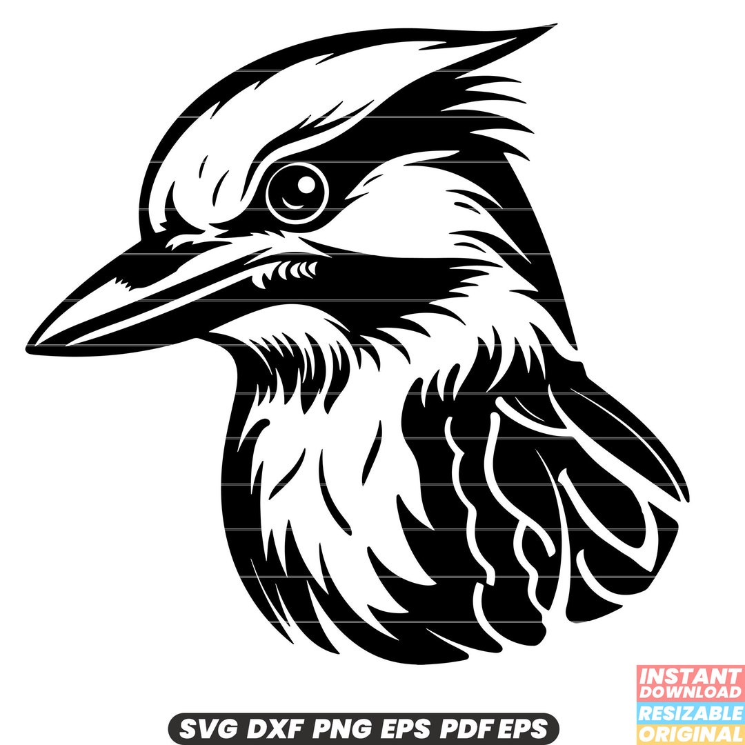 Kookaburra Bird Laughing Kingfisher Australia Wildlife Native Avian ...