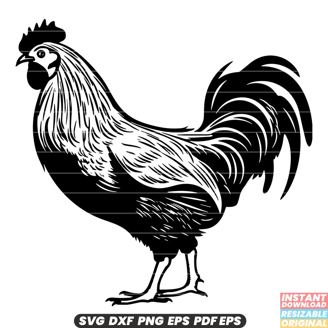 Chicken Farm Animal Poultry Bird Hen Rooster Livestock Agriculture ...