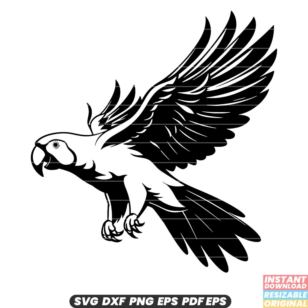 Parrot SVG Tropical Bird Wildlife Feathered Nature Colorful DXF PNG Cut ...