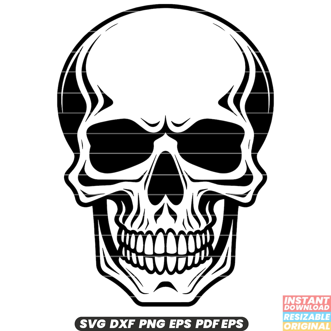 Skull Anatomy Bones Skeleton Head Human Death Halloween Horror Creepy ...