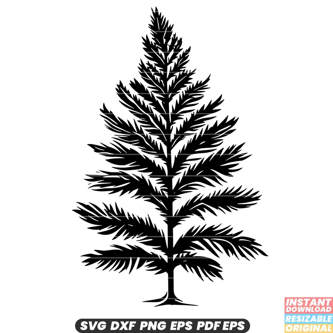 Spruce Tree SVG - Evergreen Tree Illustration, Coniferous Forest, Pine ...