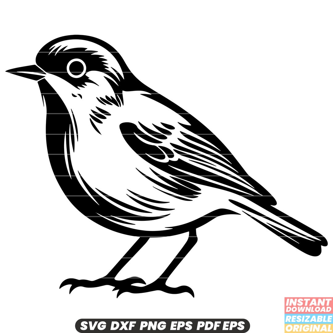 Robin Bird Avian Wildlife Nature Feathered Small Perching SVG DXF PNG ...