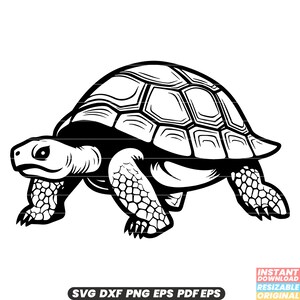 Tortoise SVG | Tortoise DXF | Tortoise PNG - Reptile Designs for Nature ...