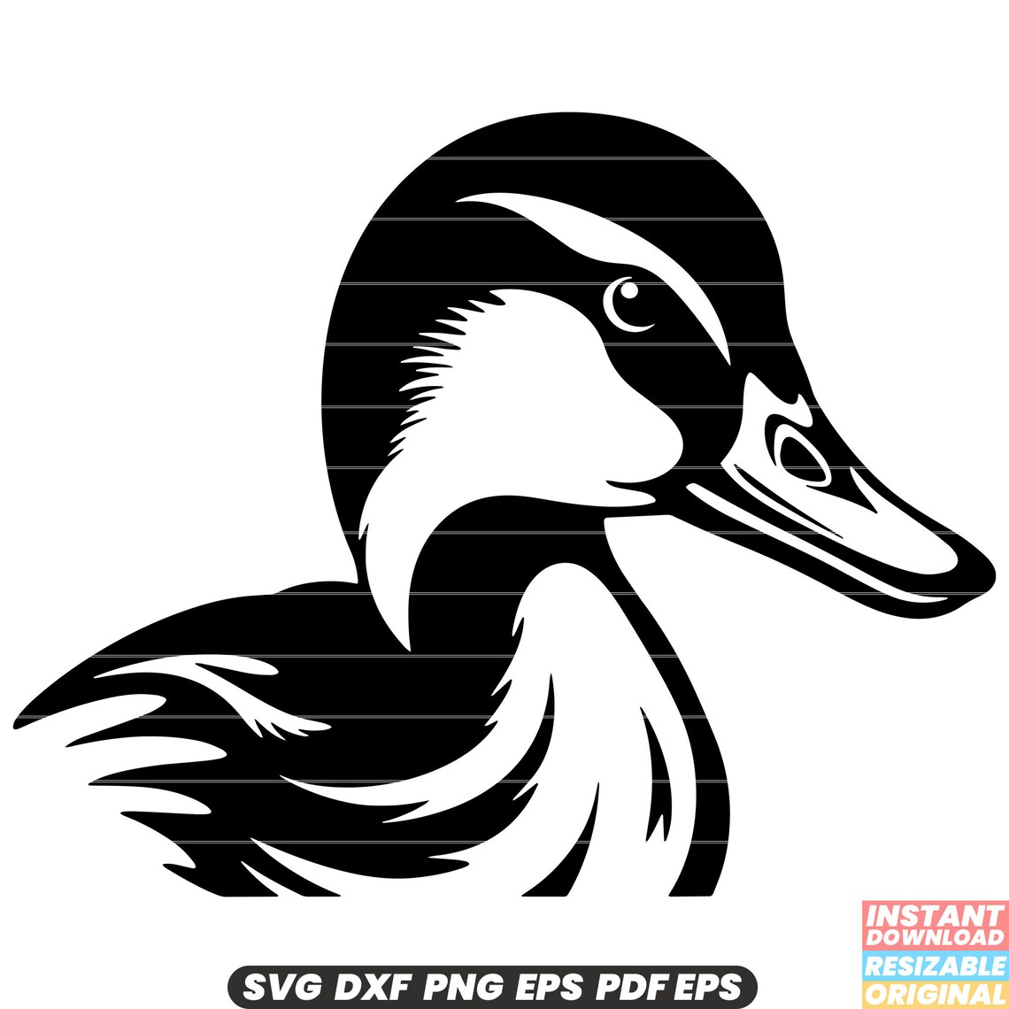 Duck Waterfowl Bird Nature Pond Lake Wetland Feathered Quack Poultry ...