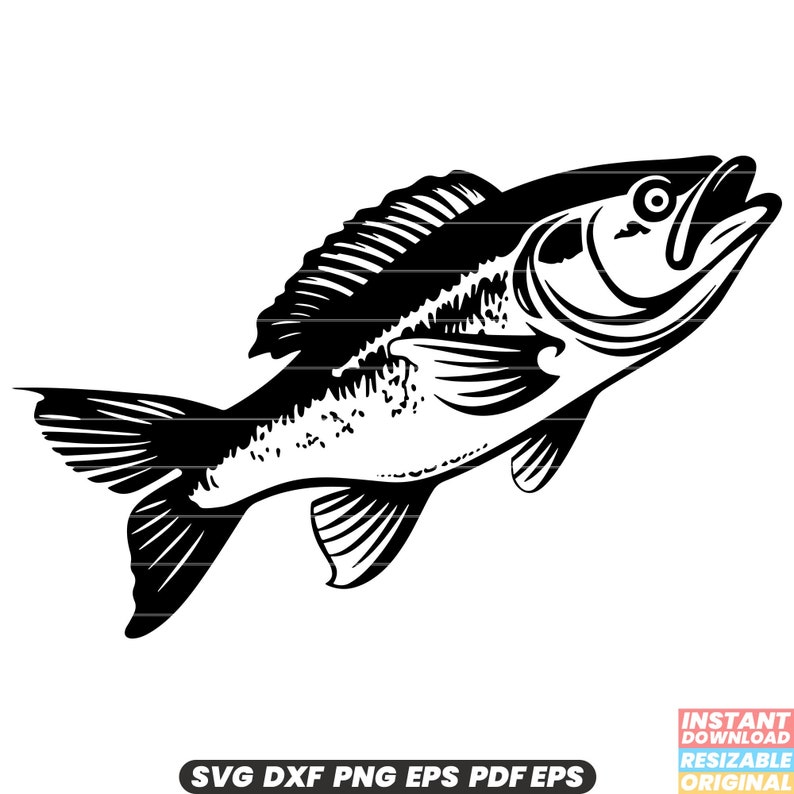 Walleye SVG / Walleye DXF / Walleye PNG Diseños de peces de agua dulce ...