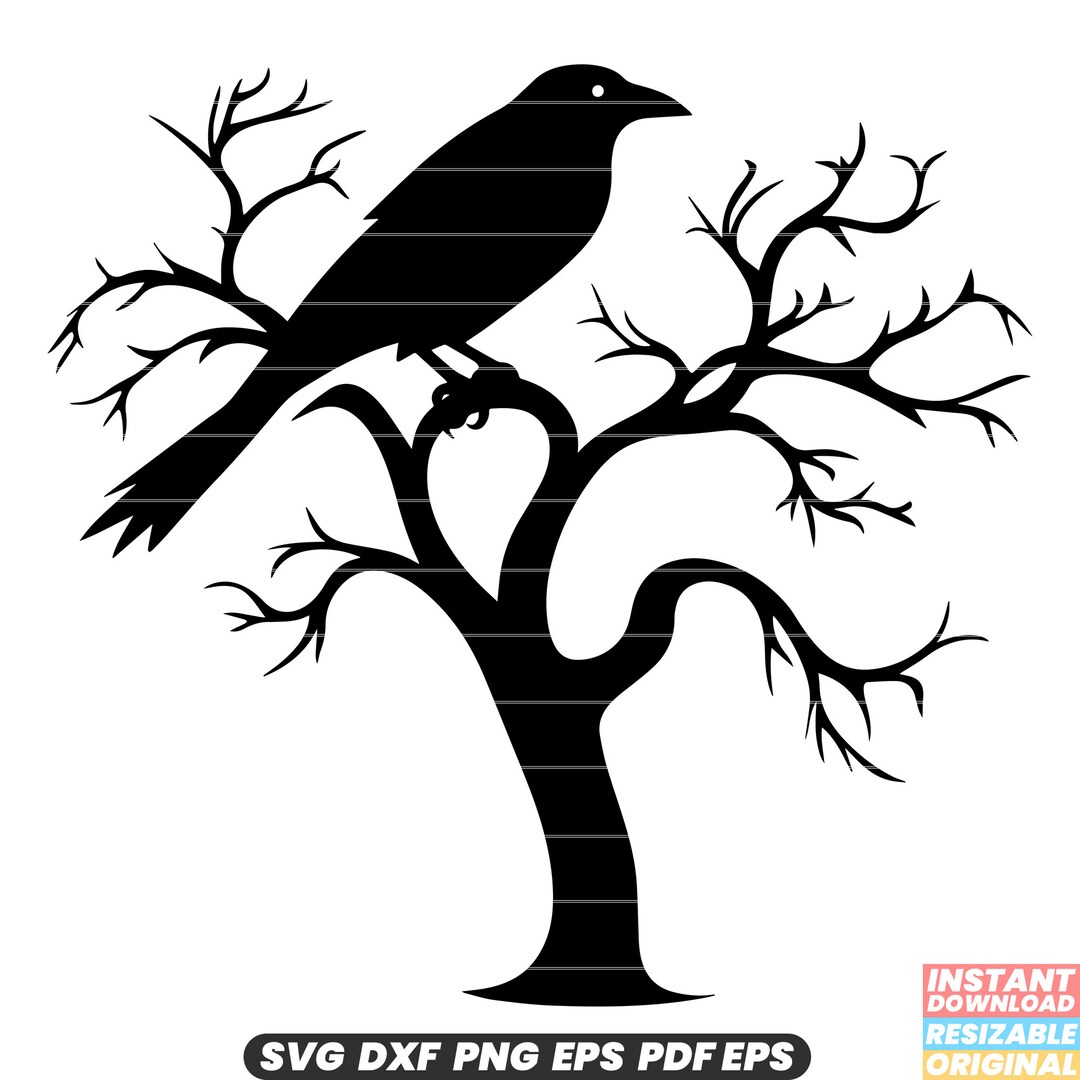 Crow Raven Bird Wildlife Corvid Feather Black Intelligent Omen Symbol ...