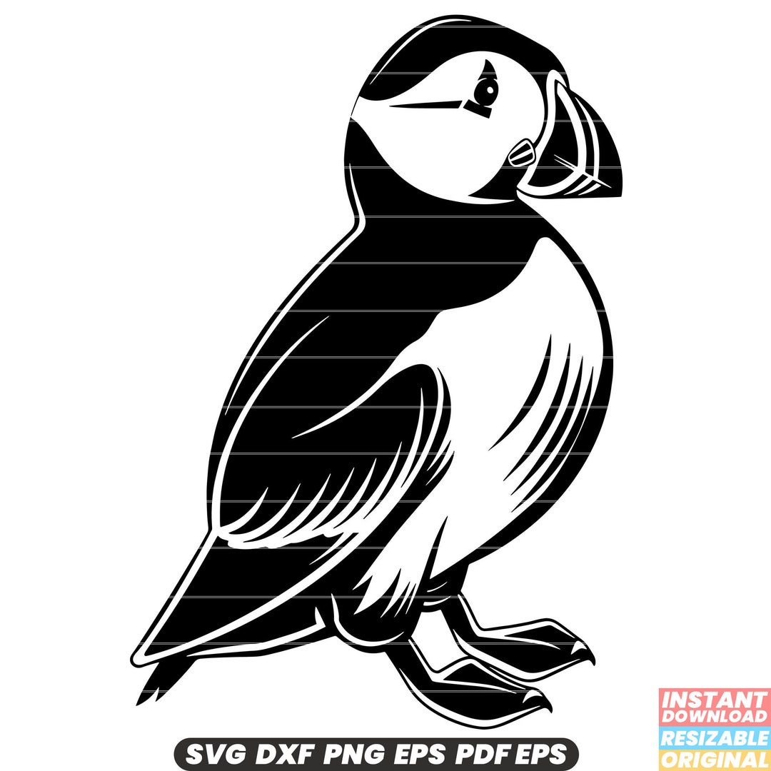 Puffin SVG Seabird Illustration Puffin Clipart Bird Graphic Ocean ...