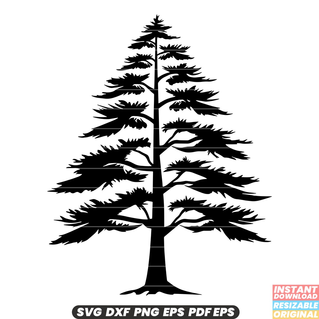 Pine Tree Evergreen Coniferous Forest Woodland Nature Timber Green ...