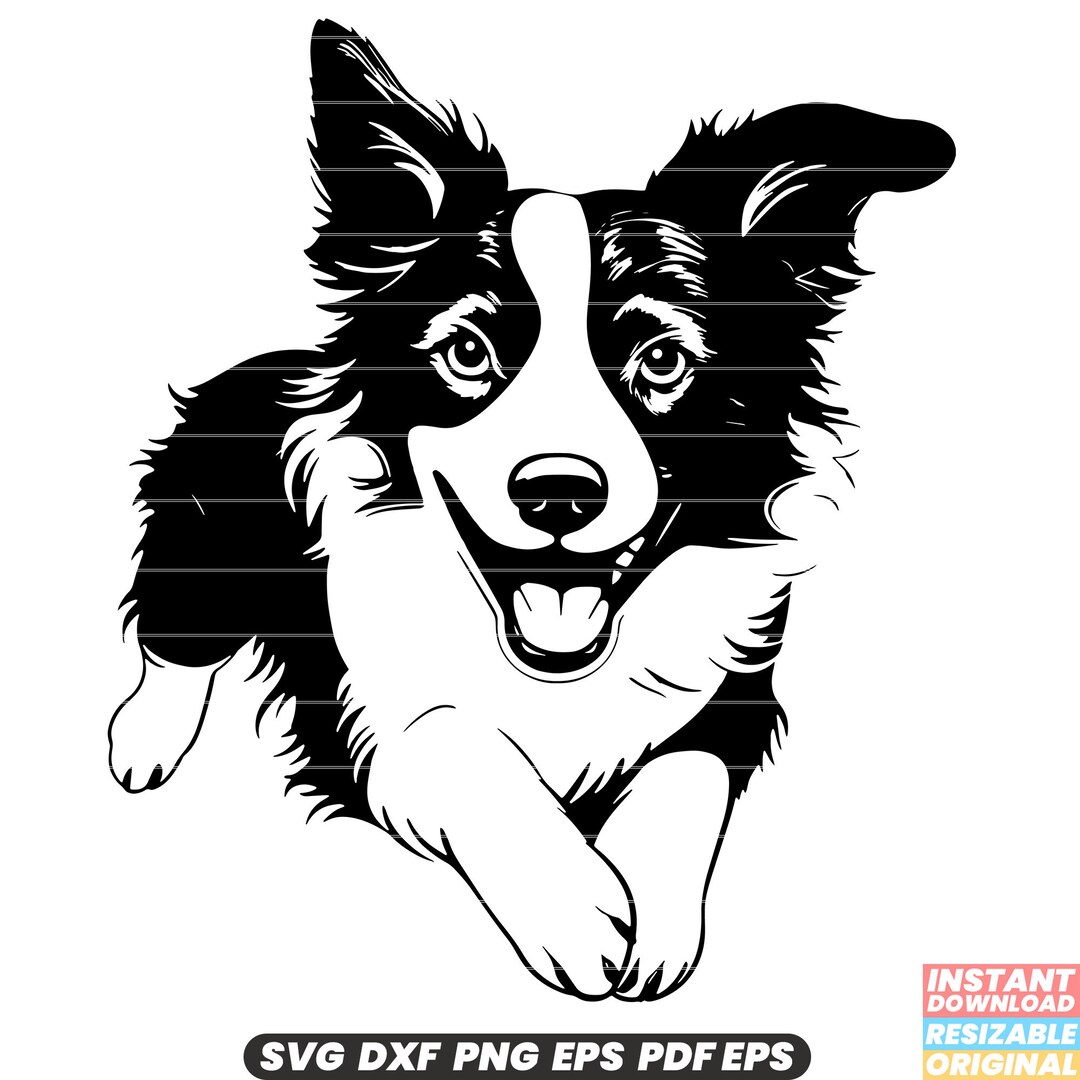 Border Collie SVG DXF PNG Loyal Canine Cut File - Etsy