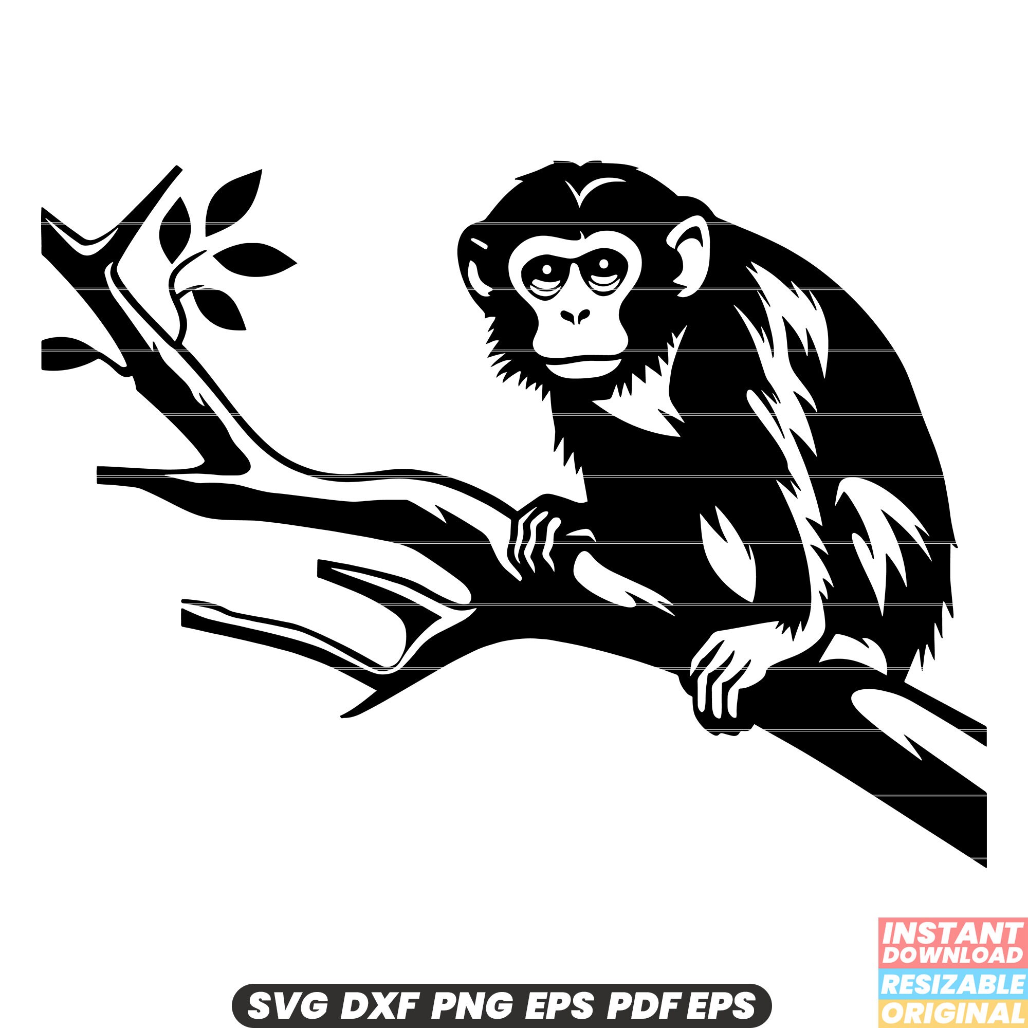 Monkey SVG, Monkey DXF, Monkey PNG Digital Designs Instant Download 1 ...