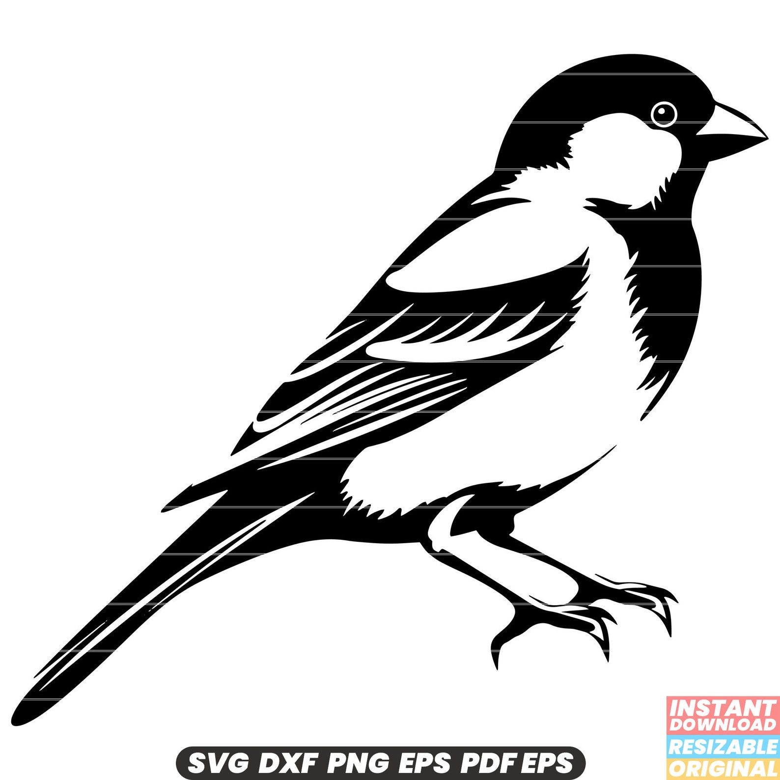 House Sparrow SVG, House Sparrow DXF, House Sparrow PNG Digital Designs ...