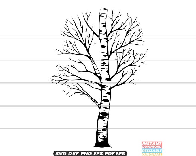 Birch Tree Forest SVG. Birch Tree Forest Png. Birch Tree Forest Cut ...