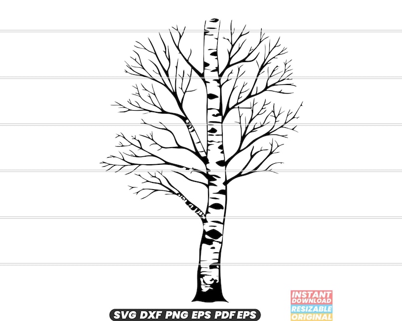 Birch Tree Svg, Birch Tree Dxf, Birch Tree Png, Birch Tree Cut File ...