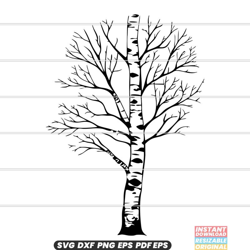Birch Tree Svg - Etsy