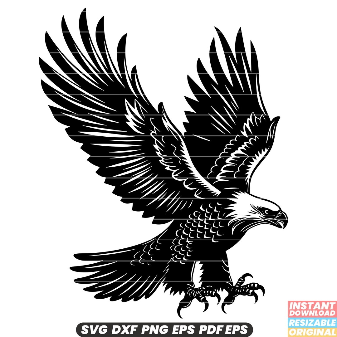 Bald Eagle Wildlife Bird Symbol National Emblem Usa America Raptor ...