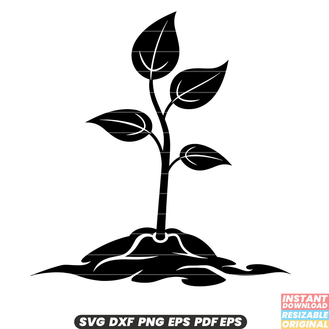 Seedling SVG Botanical Illustration Seedling Clipart Plant Graphic ...