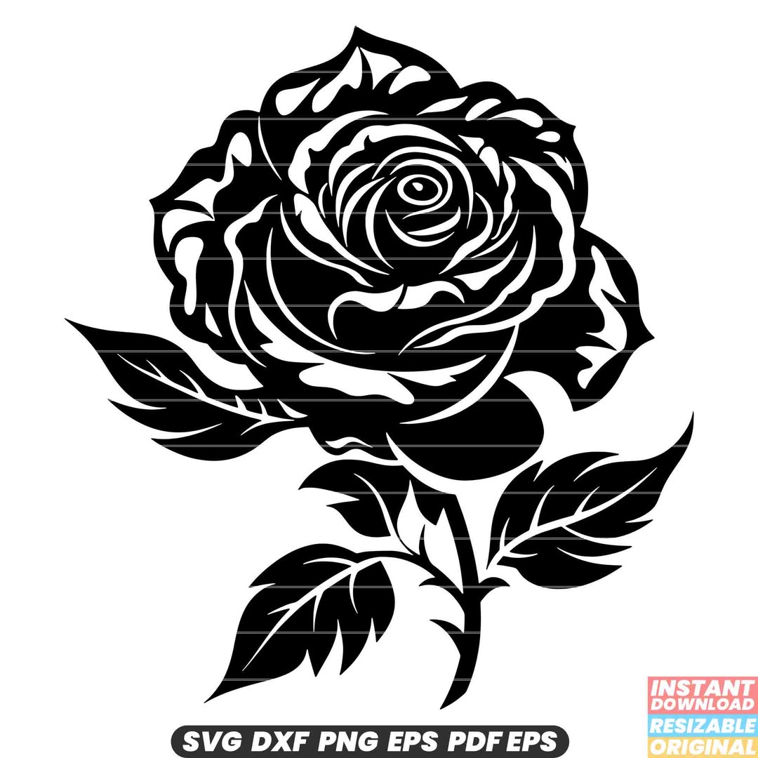 Rose SVG - Flower Illustration, Floral Graphic, Romantic Blossom ...