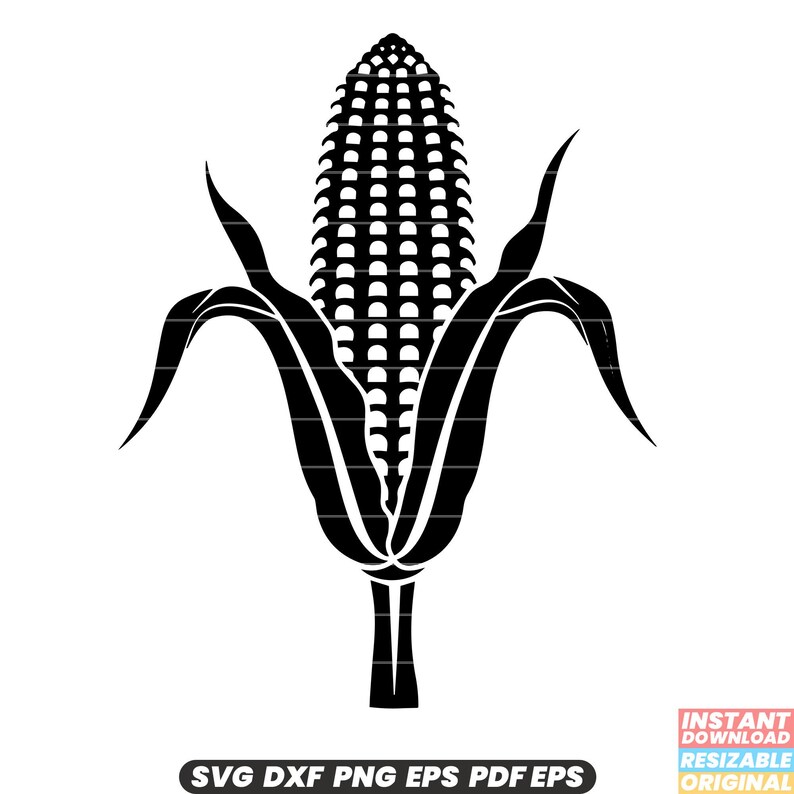 Corn Svg, Corn Dxf, Corn Png, Corn Cut File, Corn Clipart, Corn File ...