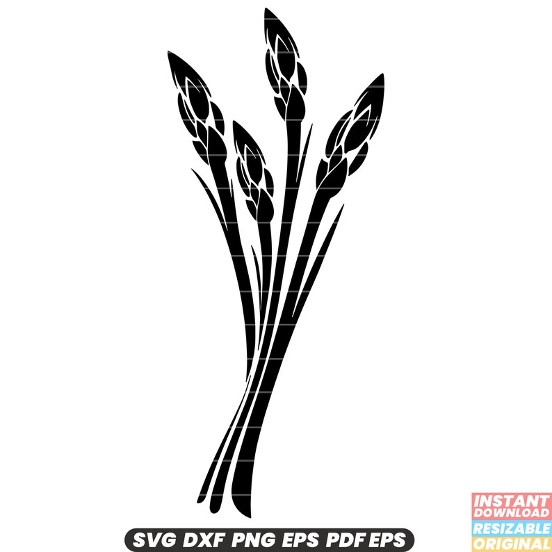 Asparagus SVG, DXF, PNG, Vegetable Cut File, Garden Fresh Clipart ...