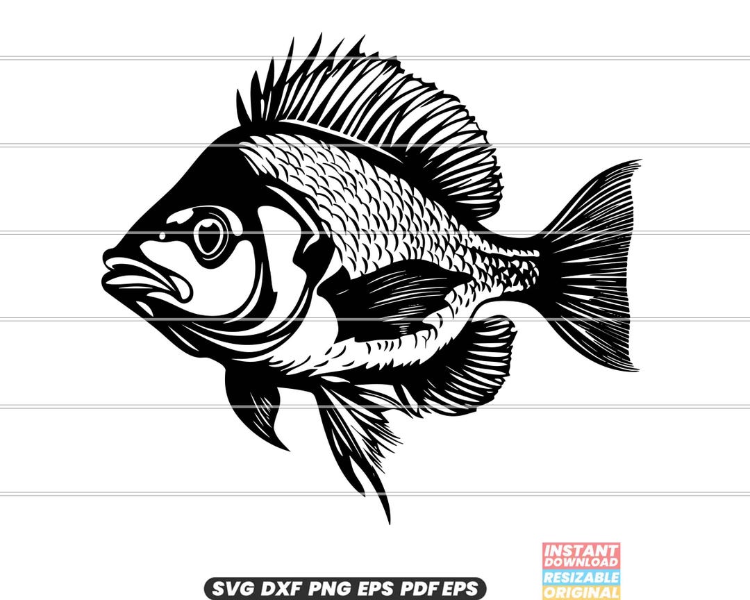 Bluegill Svg, Bluegill Dxf, Bluegill Png, Bluegill Cut File, Bluegill ...
