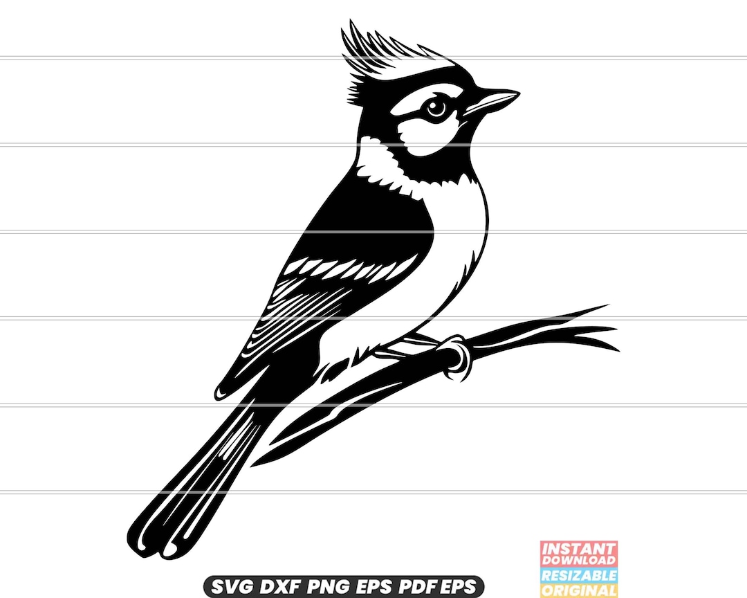 Blue Jay Svg, Blue Jay Dxf, Blue Jay Png, Blue Jay Cut File, Blue Jay ...