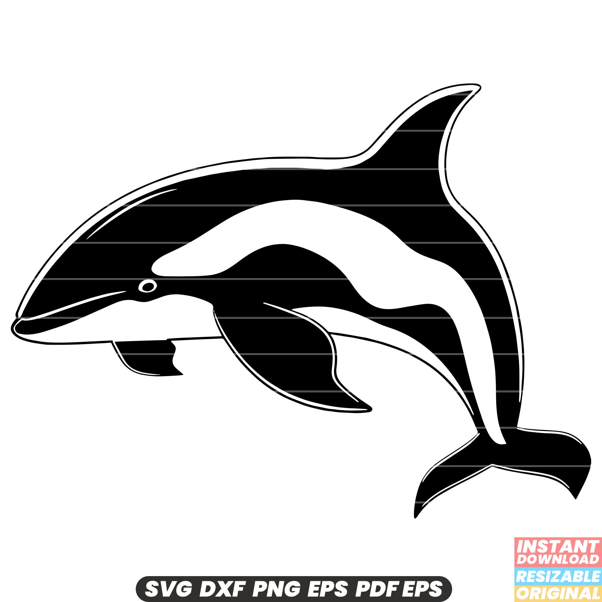 Killer Whale Orca Marine Mammal Ocean Predator Blackfish Apex Predator ...