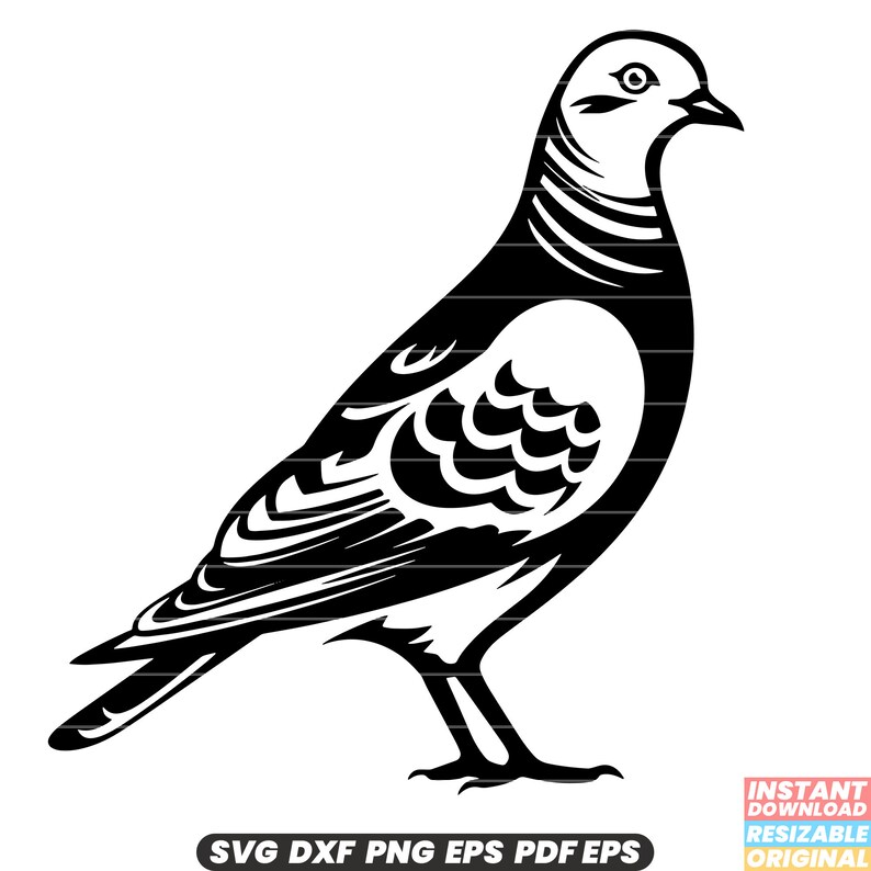 Turtle Dove SVG Turtle Dove DXF Turtle Dove PNG Bird - Etsy