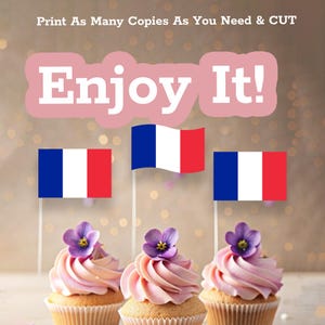 36 PCS Printable French Mini Flag Cupcake Toppers - Cocktail Picks ...