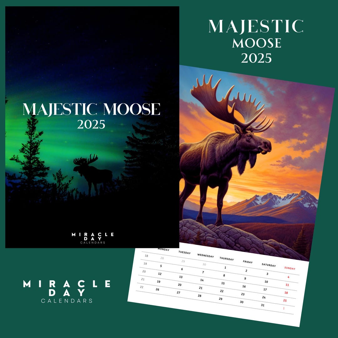 Majestic Moose Wall Calendar A3 A4 2025 Moose Kings of the Forest ...