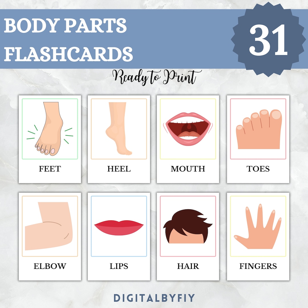 31 Body Parts Flashcards, Body Cards, Printable, Flash Cards for Kids ...