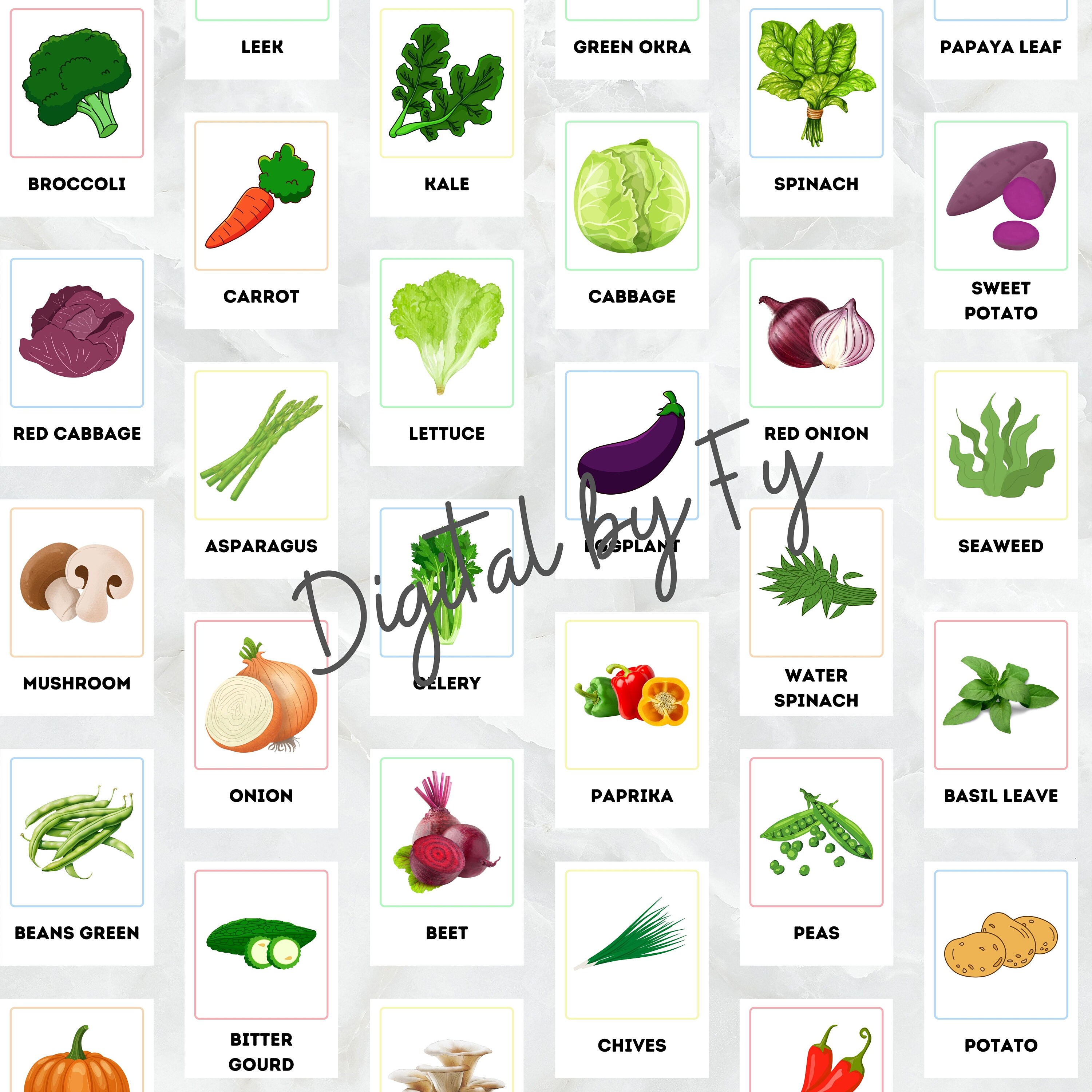 40 Vegetable Flashcards, Printable, Flash Cards for Kids, Pre-school ...