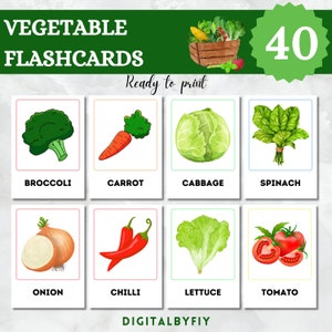 40 Vegetable Flashcards, Printable, Flash Cards for Kids, Pre-school ...