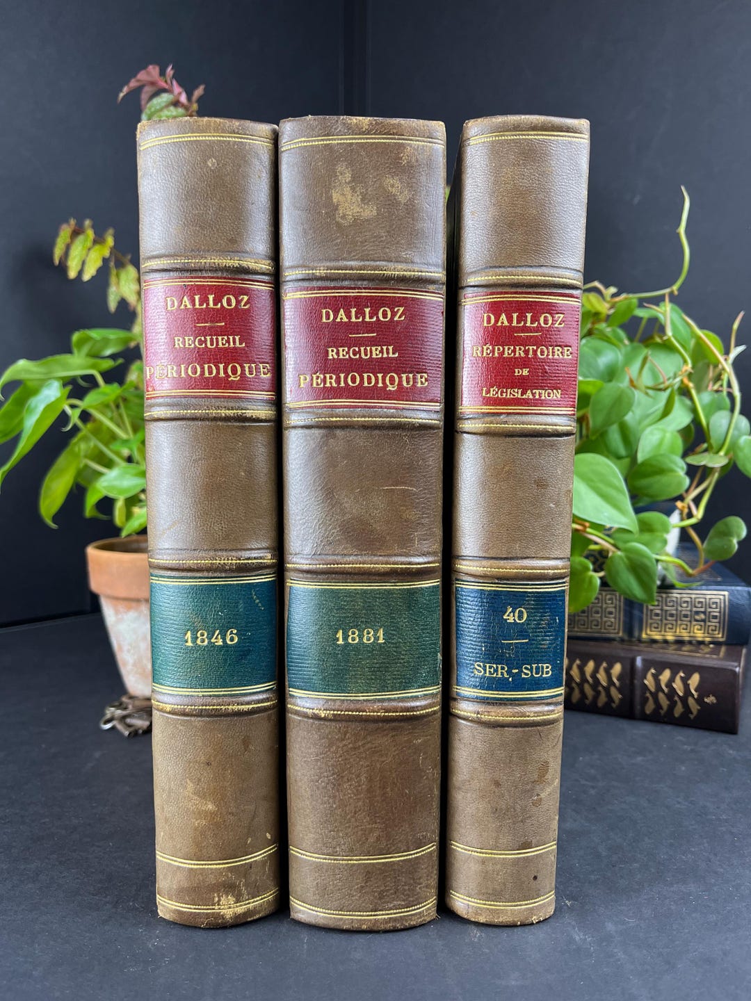 Mid/late 1800’s Antique Set of French Law Books by Dalloz, Precedence ...