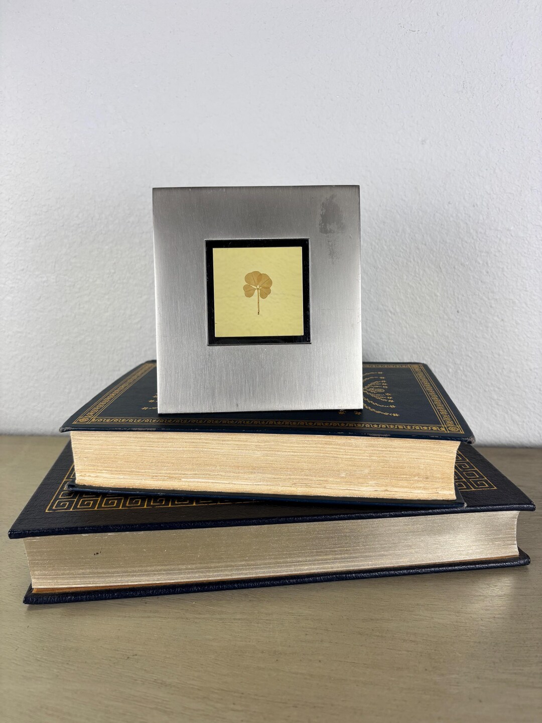 Preserved Lucky Four Leaf Clover Framed, Ireland, St. Patrick's Day ...